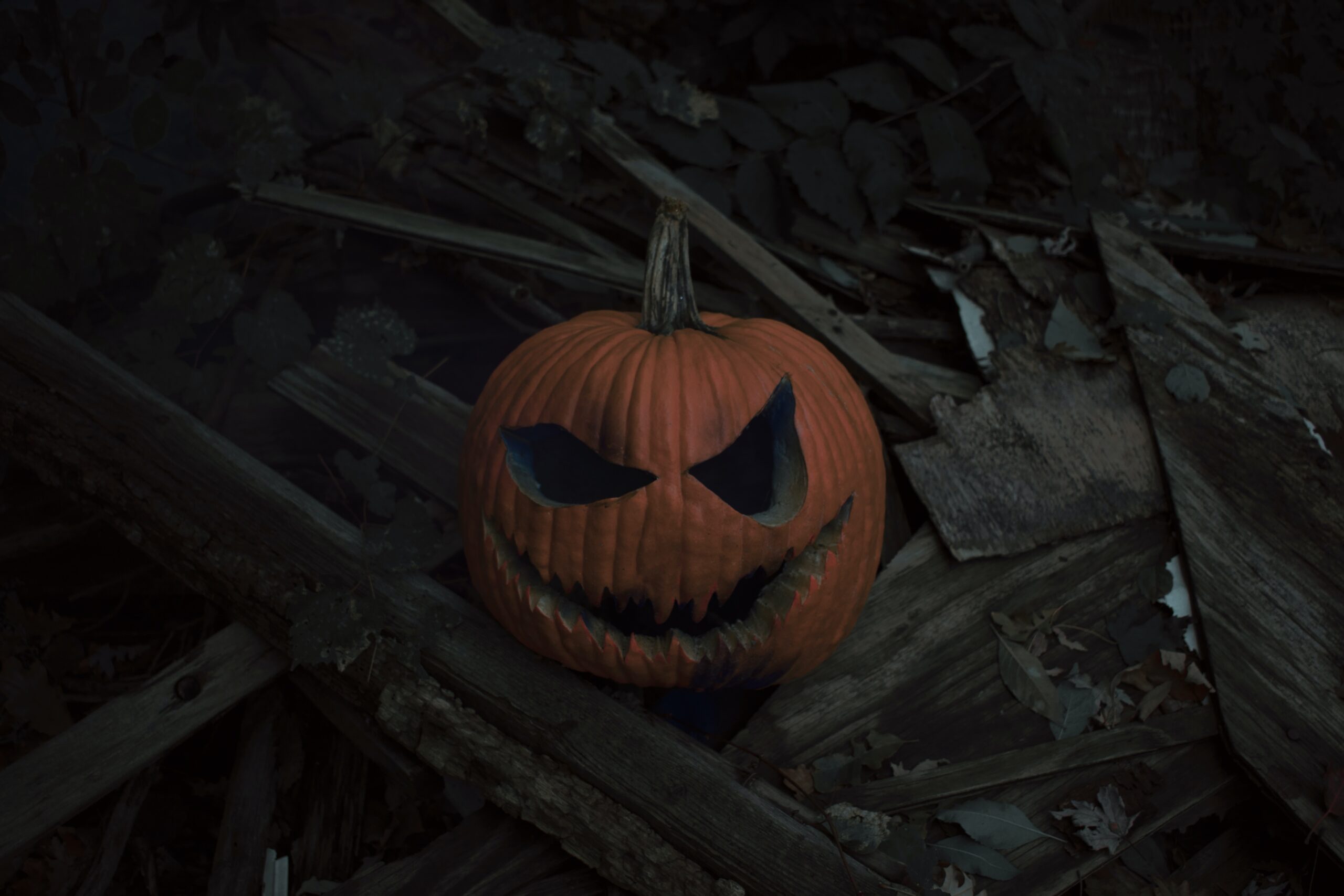 Into the Abyss: A Spooky Splash with the World's Most Haunted Bodies of ...